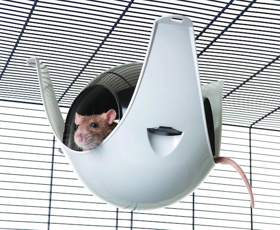 Creating the ultimate rat pad – Liberty Foundation Australia