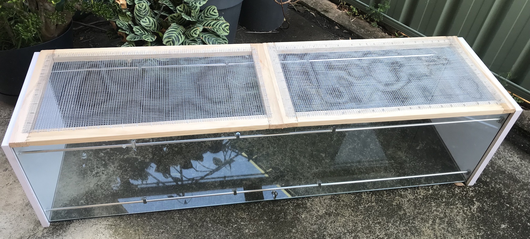 Build a first-rate mouse house – Liberty Foundation Australia